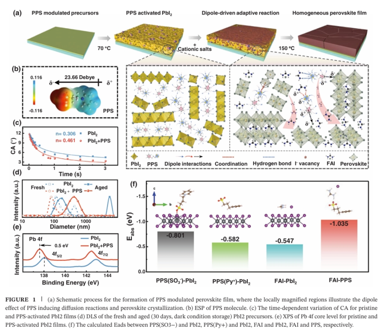 陈义旺&谈利承AFM：偶极子驱动的自适应固 - 液反应与载流子提取在两步法卤化物钙钛矿光伏器件中的应用 - 巨力光电（北京）科技有限公司